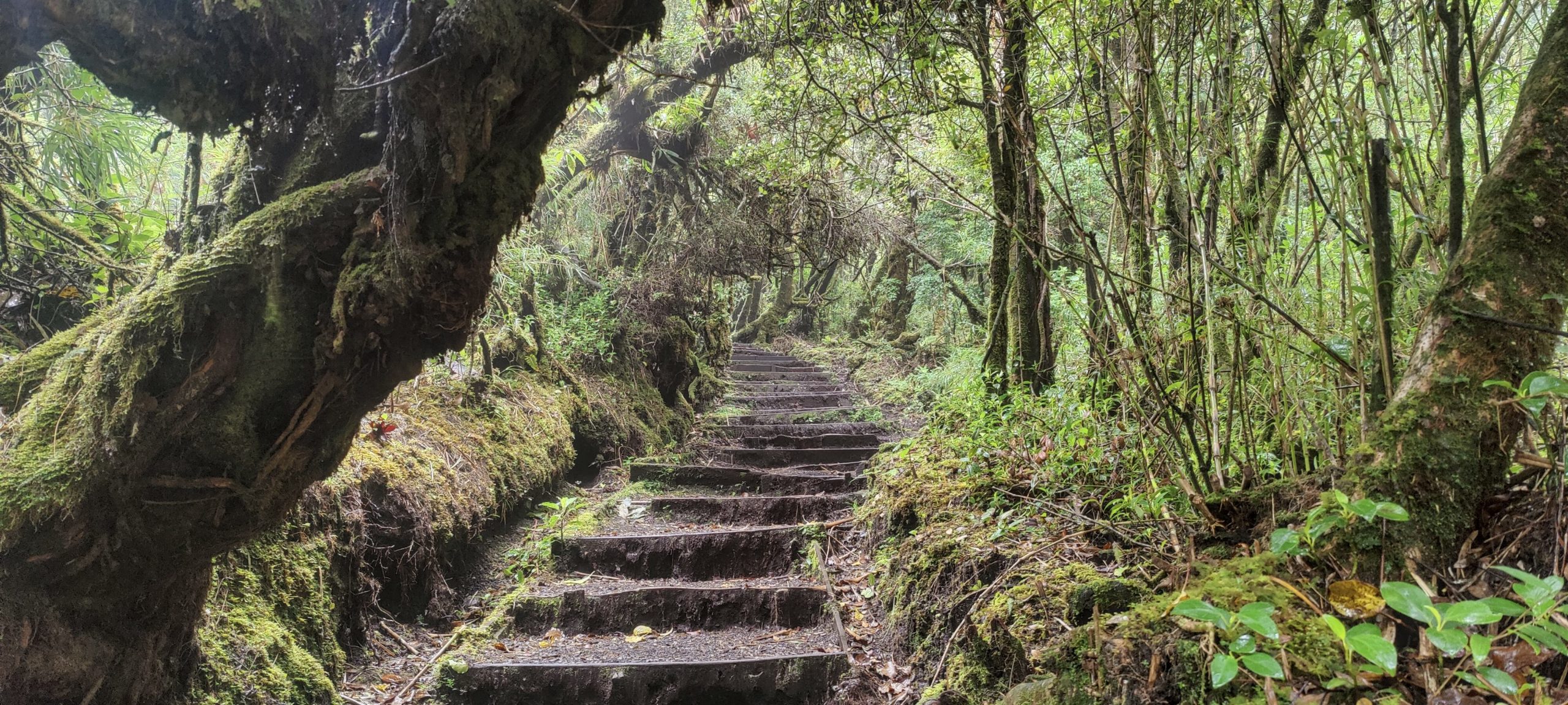 Volcán Barva - p600.org
