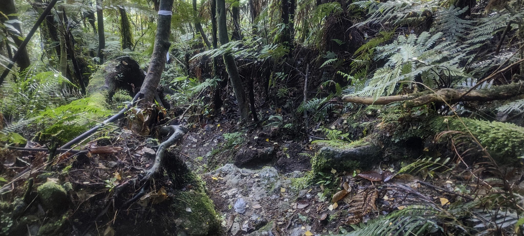 Mount Matutum - p600.org