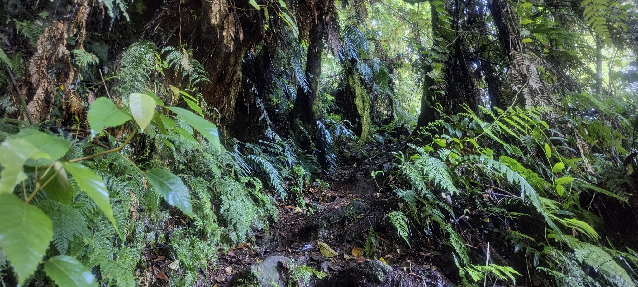 Mount Matutum - p600.org